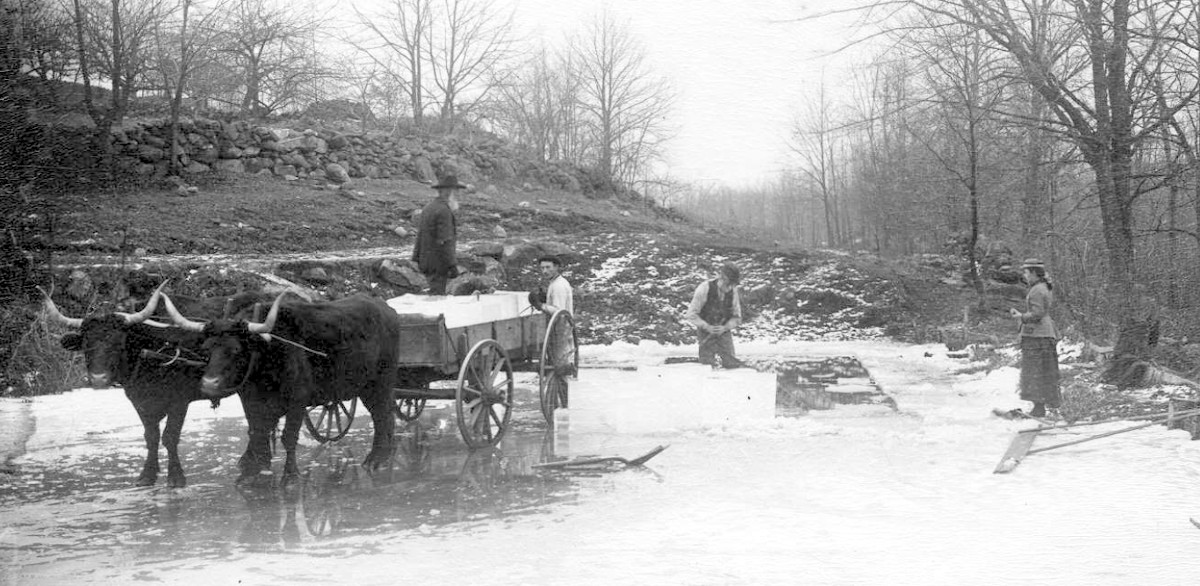 Treasures from the Archives: Ice Harvesting in Ridgefield • Ridgefield ...