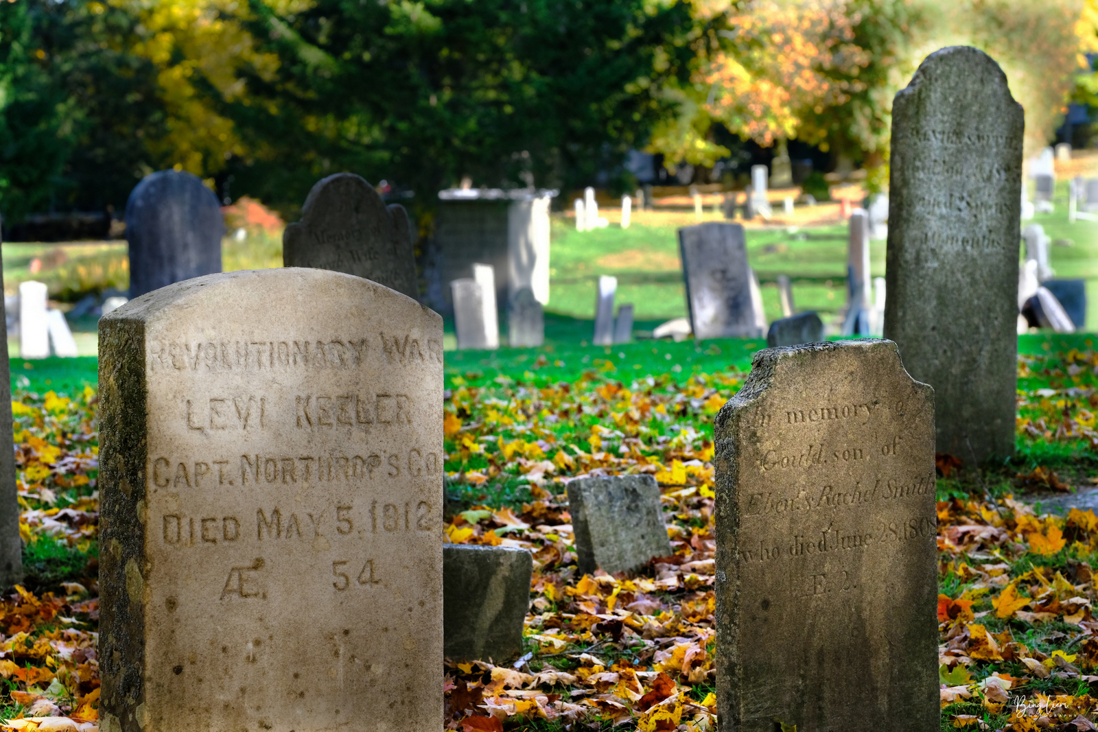 On Board with Nancy Selander • Ridgefield Historical Society