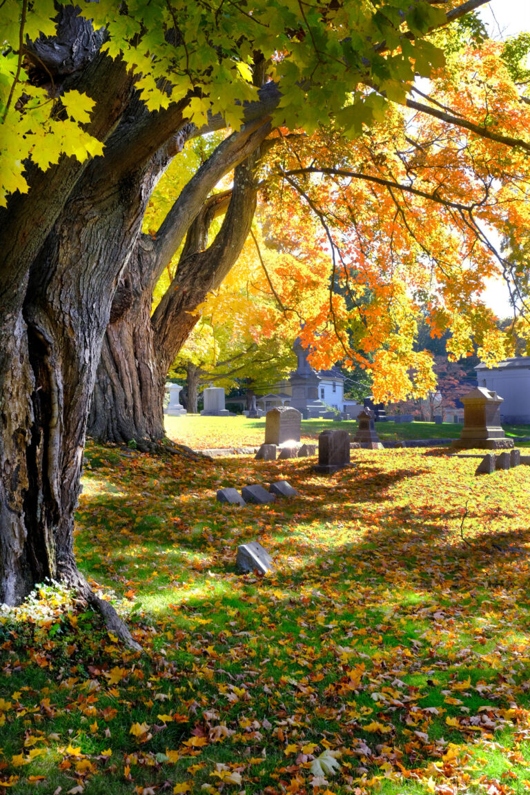 On Board with Nancy Selander • Ridgefield Historical Society