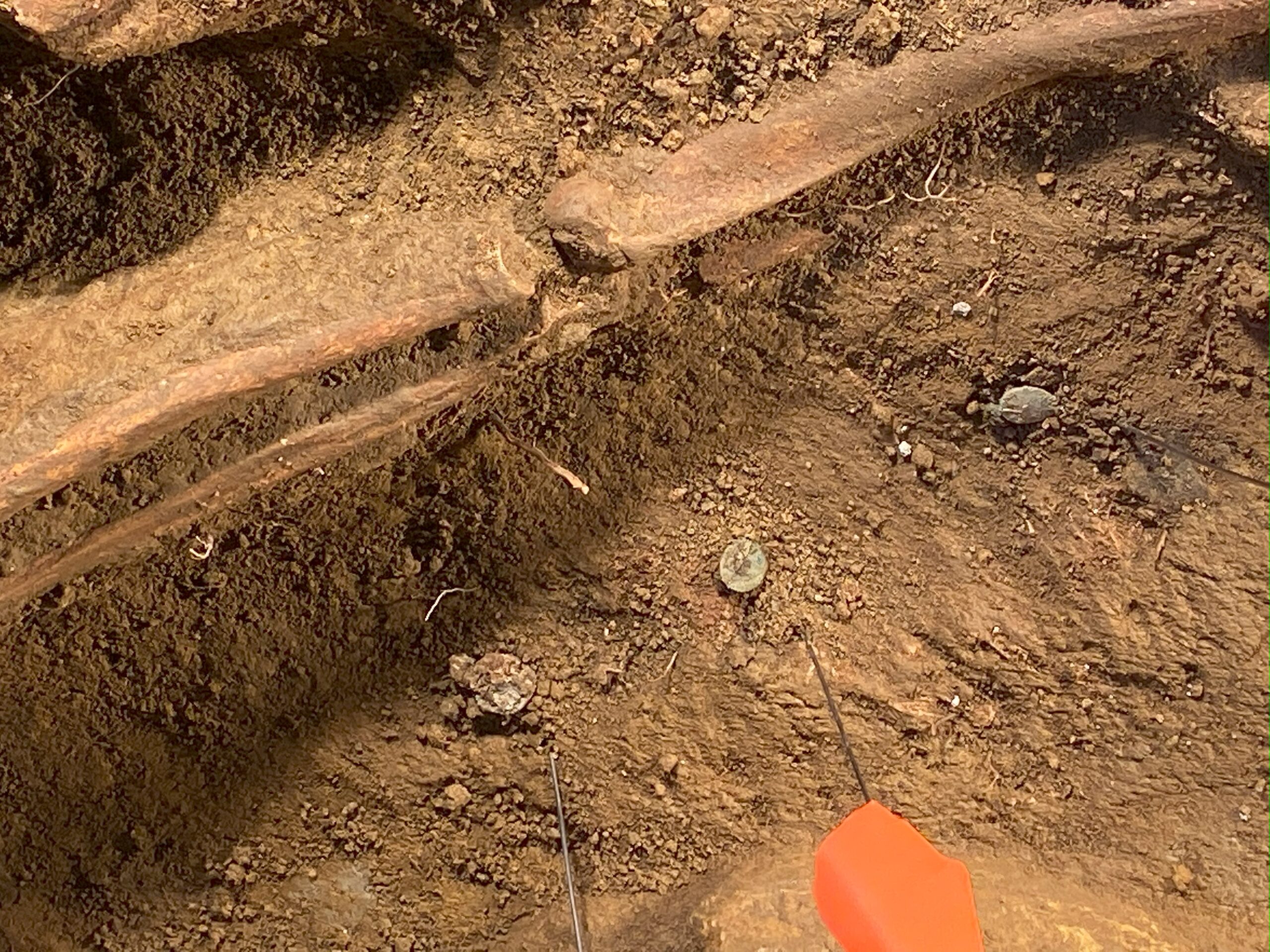 Ridgefield Historical Society Awarded $20,000 Grant for Forensic ...